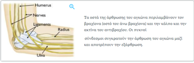 Αρθροσκόπηση αγκώνα